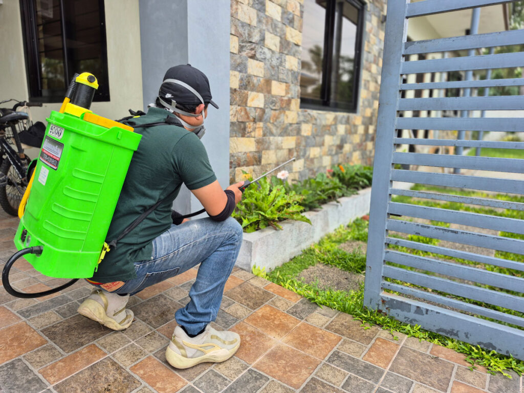 Pest Control Services in Metro Manila & Calabarzon | Termites, Rodents ...