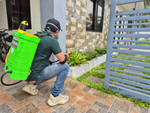 Pest Control Services in Metro Manila & Calabarzon | Termites, Rodents ...