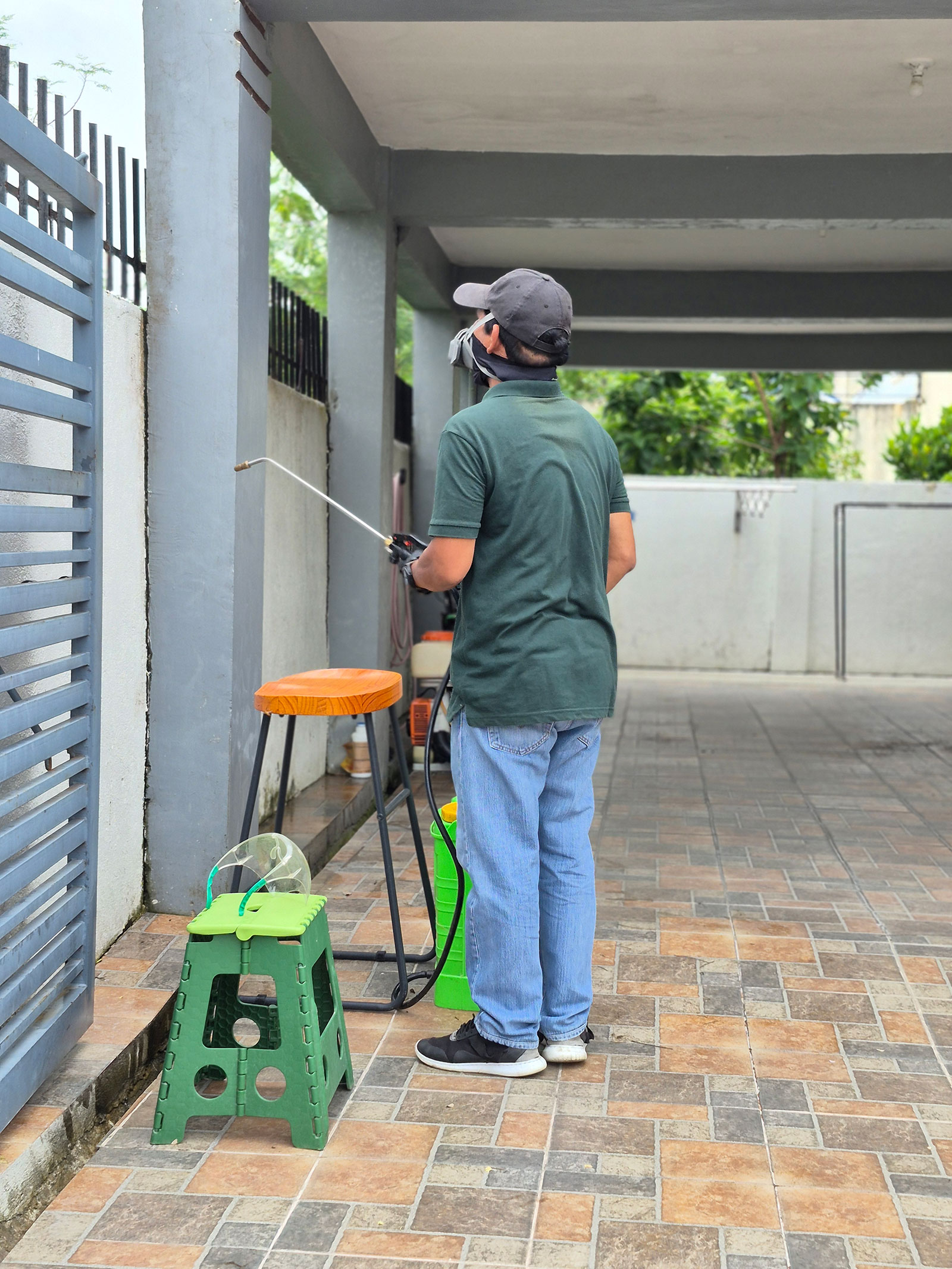 Pest Control Services in Metro Manila & Calabarzon | Termites, Rodents ...